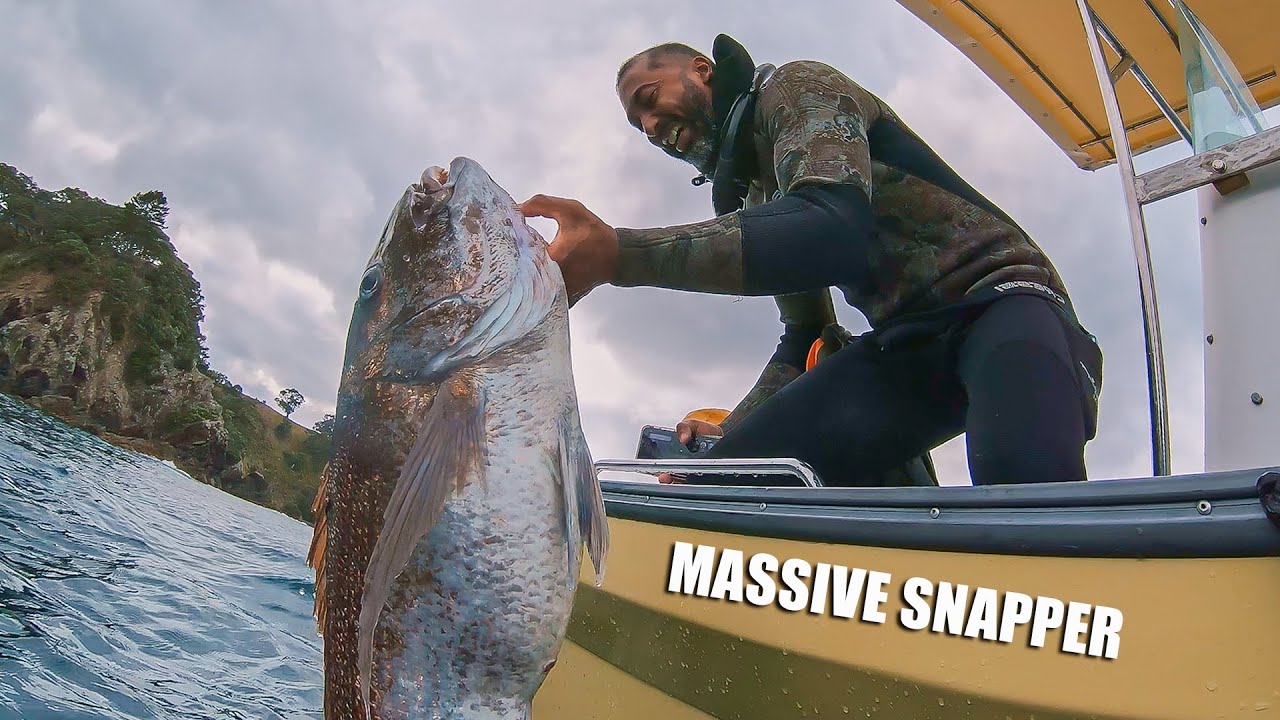 I Nearly Gave Up - SPEARFISHING MONSTER SNAPPER - YouTube