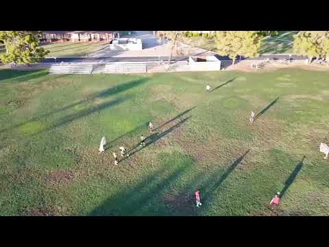 Naked Soccer