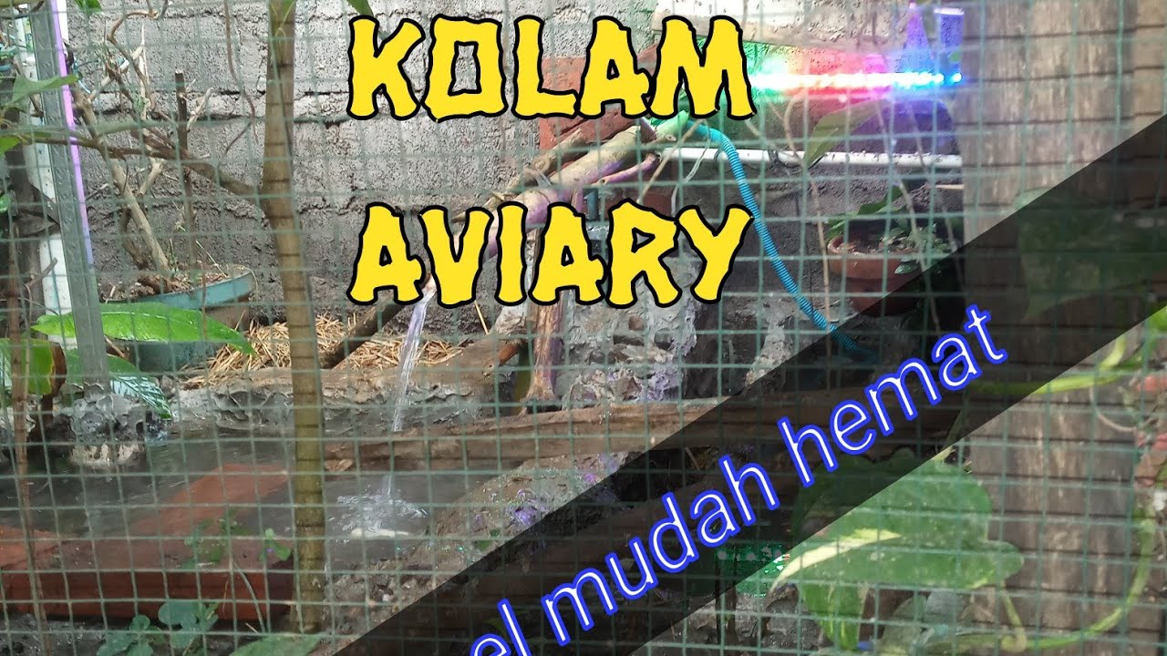 aviary minimalis kolam ikan aviari - YouTube