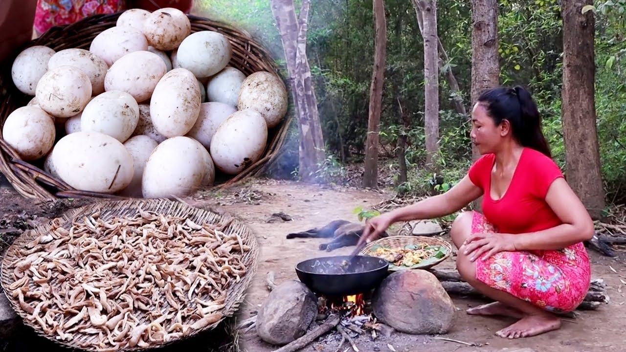 𝐔𝐧𝐢𝐪𝐮𝐞 𝗙𝗼𝗼𝗱, 𝗖𝗼𝗼𝗸𝗶𝗻𝗴 𝗱𝗿𝘆 𝗕𝗲𝗲𝘁𝗿𝗼𝗼𝘁 𝘄𝗶𝘁𝗵 𝗗𝘂𝗰𝗸 𝗘𝗴𝗴𝘀 𝗮𝗻𝗱 𝗘𝗮𝘁𝗶𝗻𝗴 𝗶𝗻 𝗷𝘂𝗻𝗴𝗹𝗲 ...