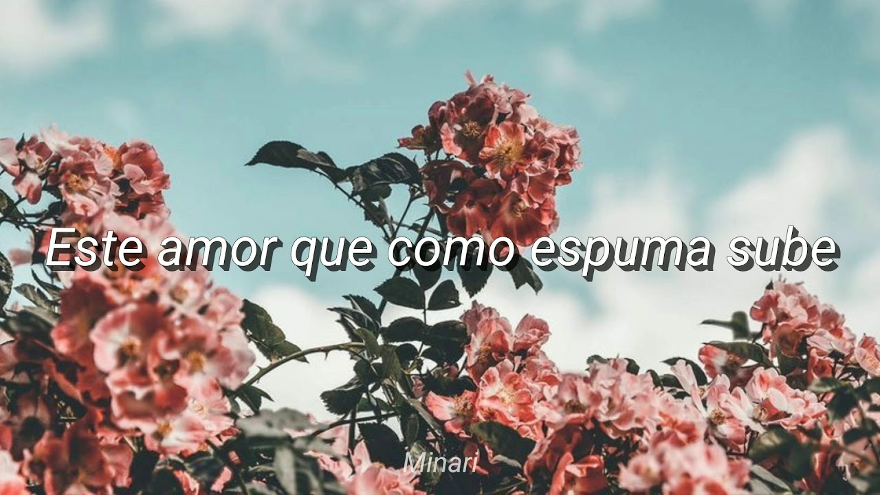 Mi niña bonita - Chino y Nacho♡ [letra] - YouTube