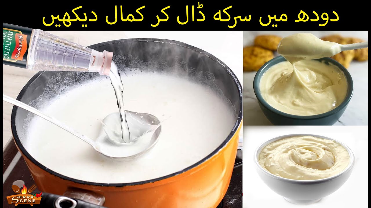 Homemade Cream Cheese Recipe | Homemade Cheese Recipe - YouTube