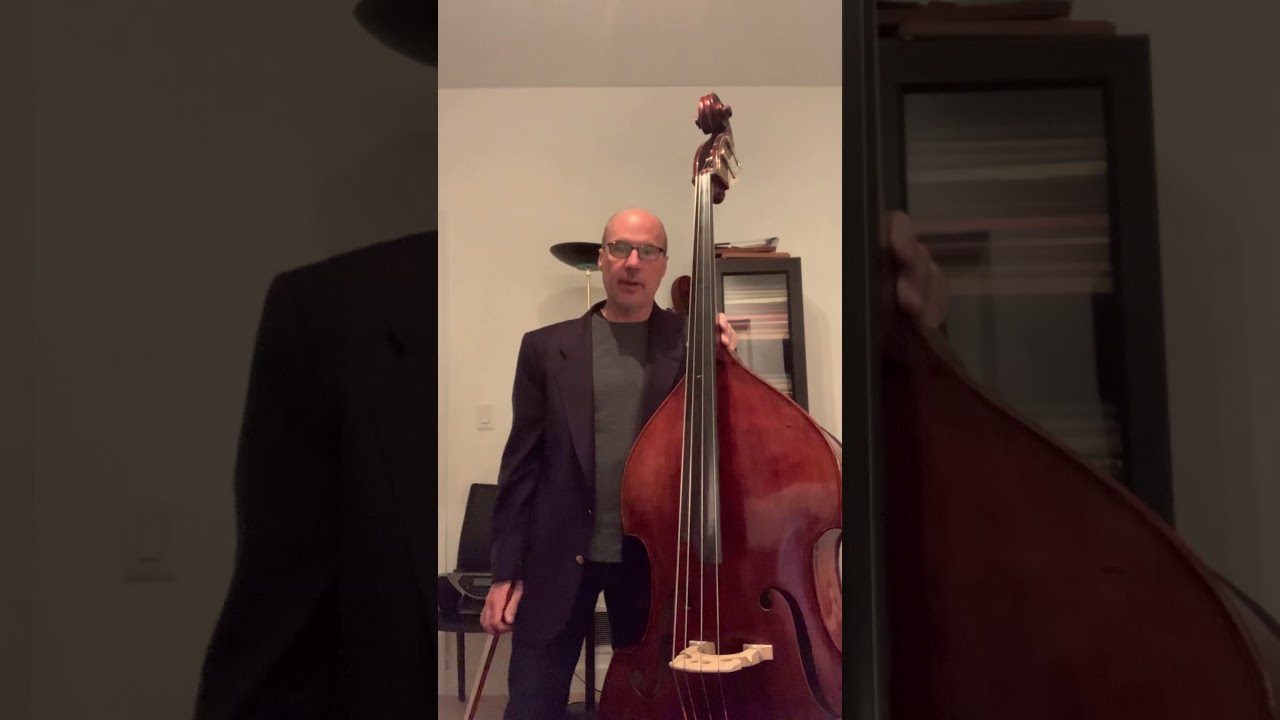 Progressive repertoire for the double bass volume two by George Vance ...