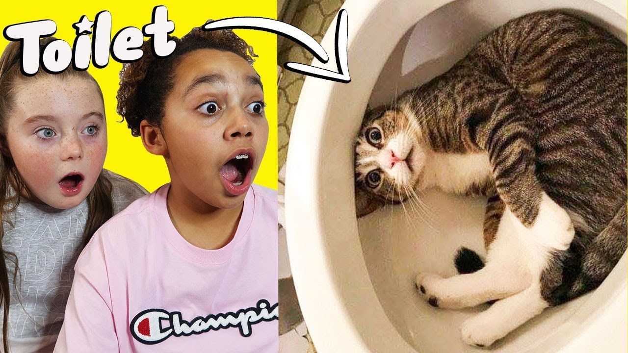 Try Not To Laugh Challenge ( If You Laugh You Lose) - YouTube