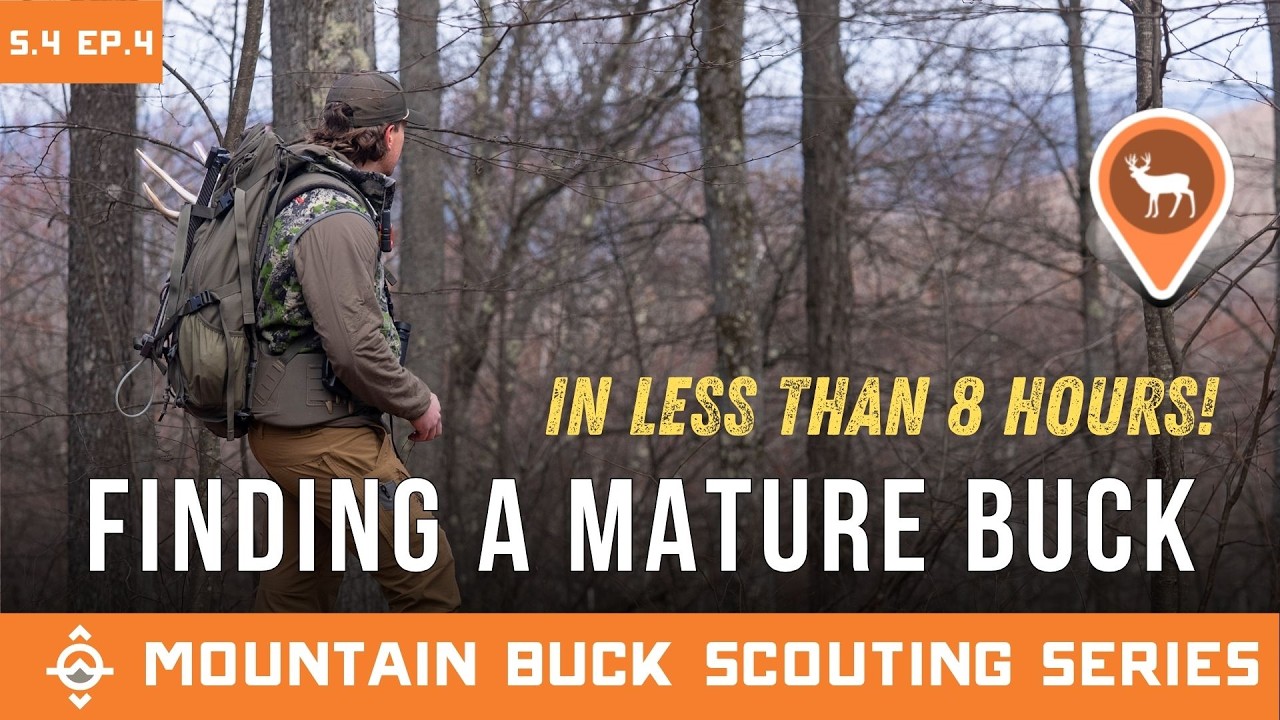 Find a Mature Buck in Less Than 8 HOURS! | Mountain Buck Scouting ...
