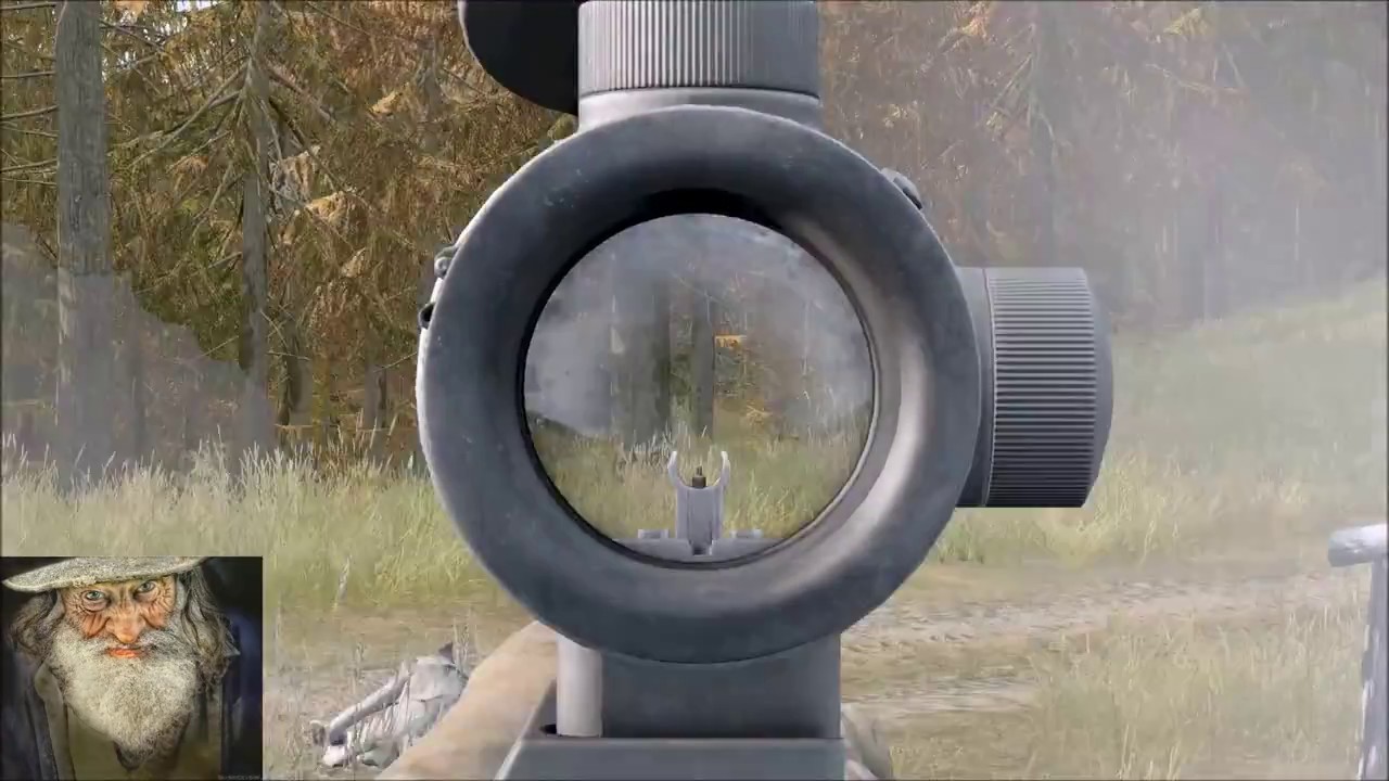 Wolves in DayZ - YouTube