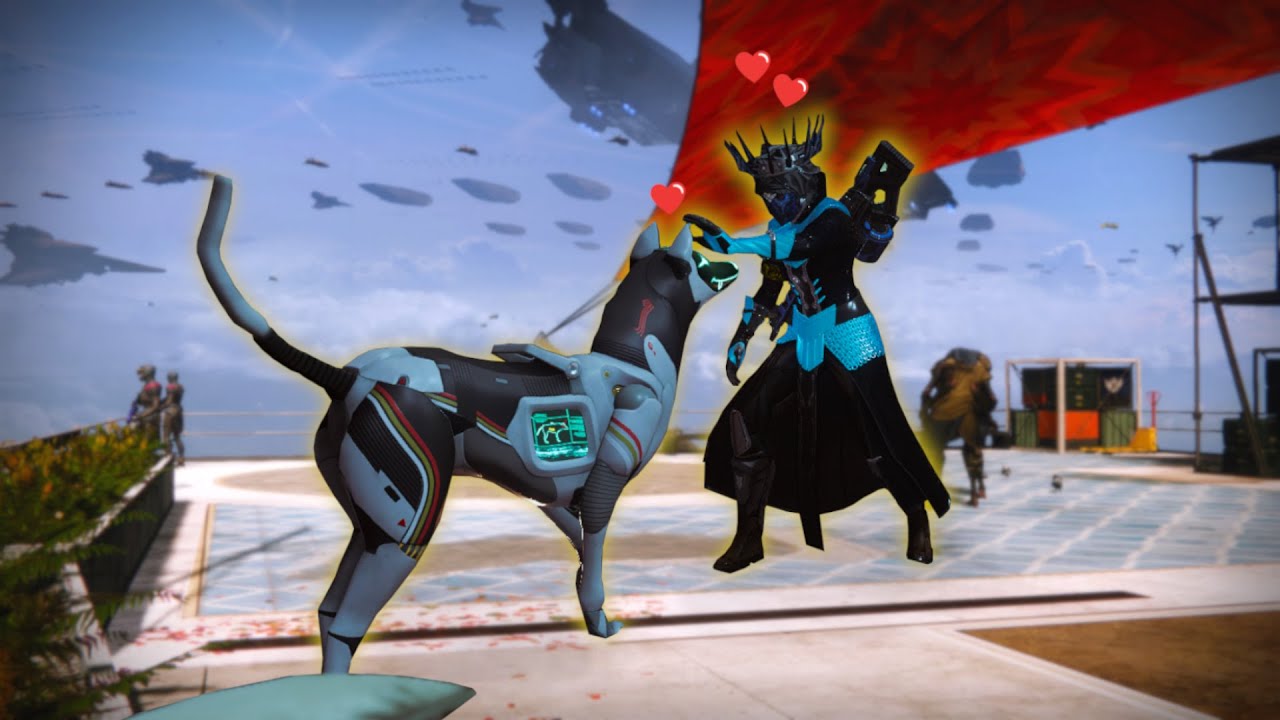 Destiny 2 | Finding Doggo (Melon & Sidekick Adventures) - YouTube