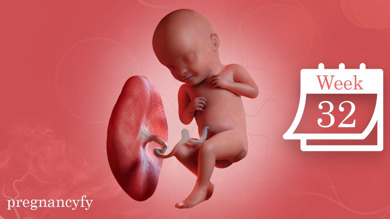 32 Weeks Pregnant Symptoms (Milestone Achieved) - YouTube