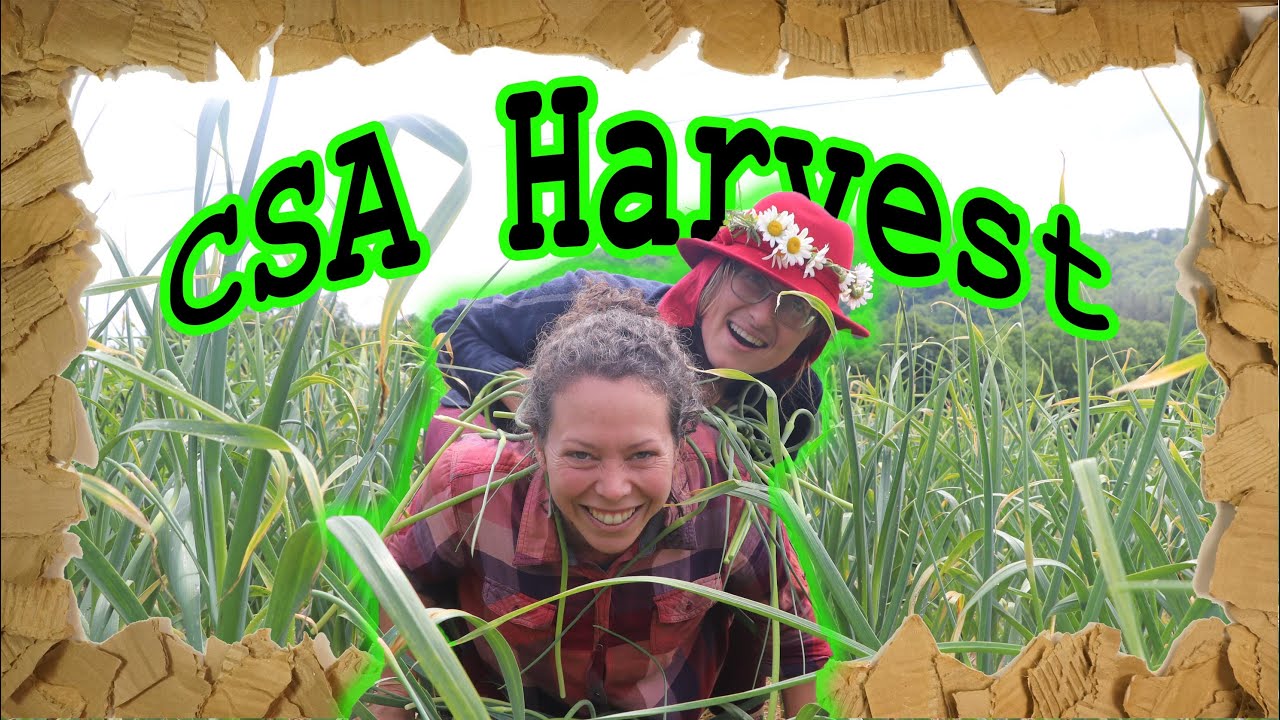 CSA Harvest | East Brook Community Farm - YouTube