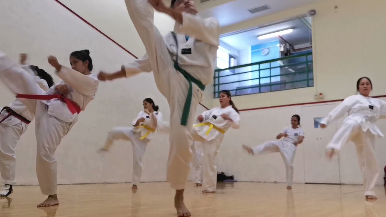 Taekwondo Training || Basic - YouTube