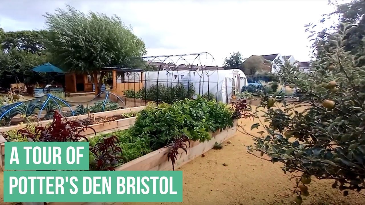 Explore our Potter's Den Bristol allotment - YouTube