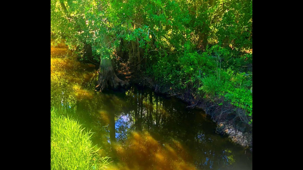 Creek fishing with ogm Catch and cook - YouTube