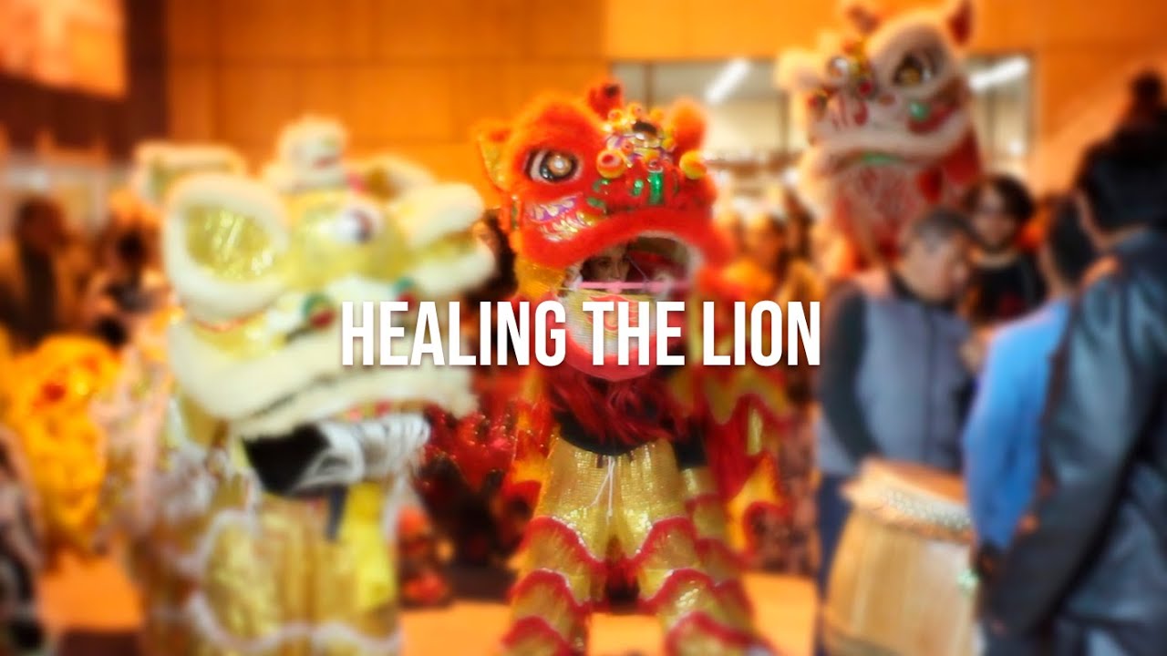Teaser Healing the lion - YouTube