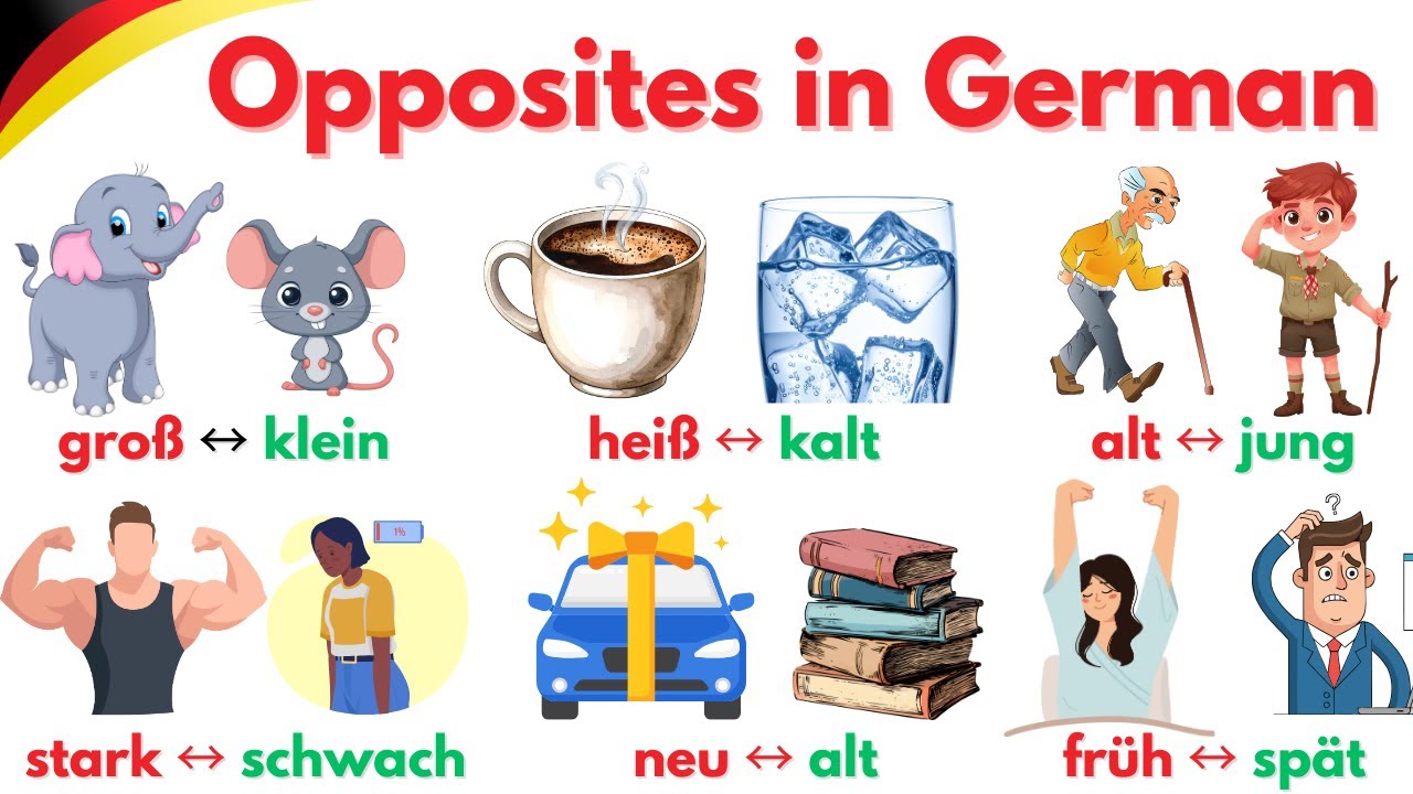 🇩🇪Learn German| Opposite words in German with sentences ...