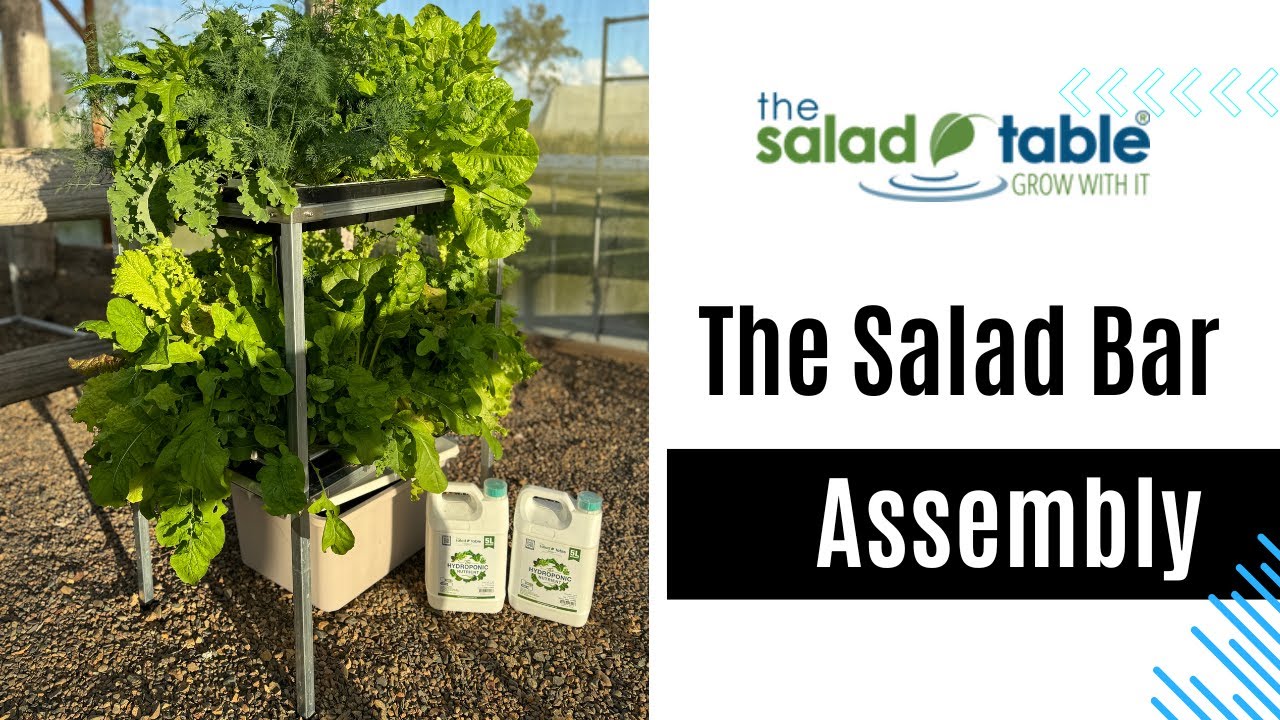 Salad Bar Assembly - YouTube