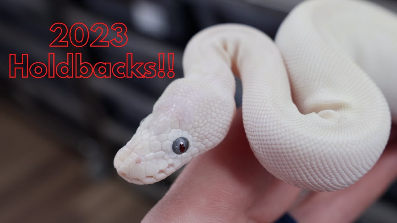 Well What Did We Hatch!? - YouTube