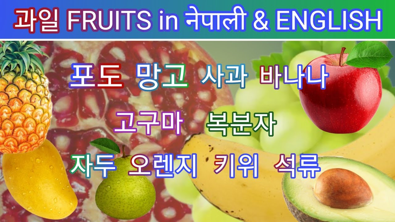 Most Important Korean fruits name in English & नेपाली - 과일 - YouTube