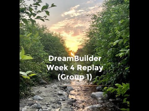 Week 4 DreamBuilder zoom call replay - YouTube