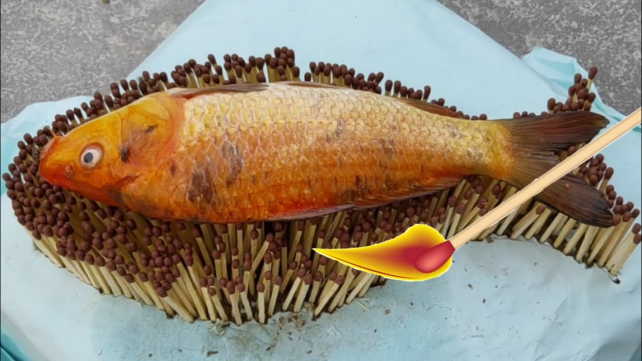 2000 Matchsticks Vs Real Fish | Matchsticks Reactions Domino | Yoo ...