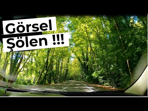 Bartın-Karabük arası Ağaç Tüneli Yolu. Forest Tunnel Relaxing Video