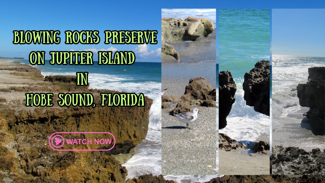 Blowing Rocks Preserve Located on Jupiter Island in Hobe Sound, Florida ...