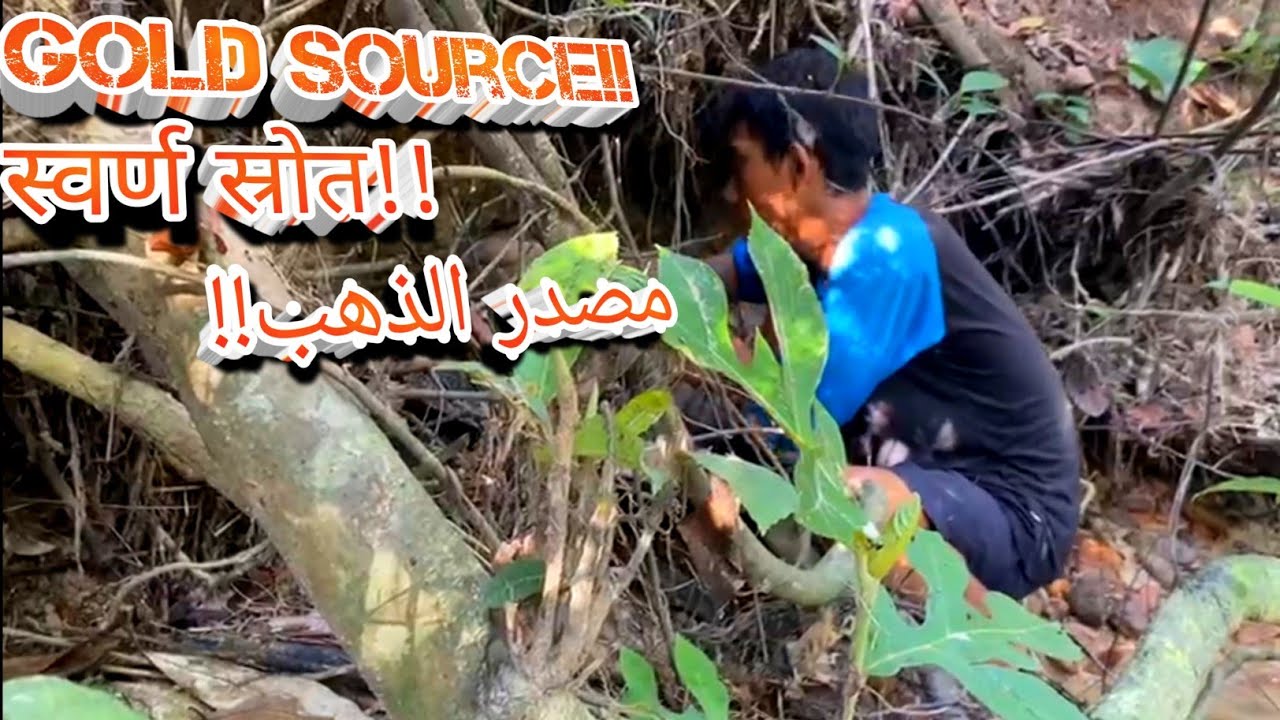 GOLD SOURCE!! Under the tree roots, Amazing results - YouTube