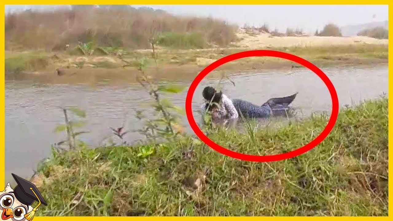 Echte Mythische Wezens