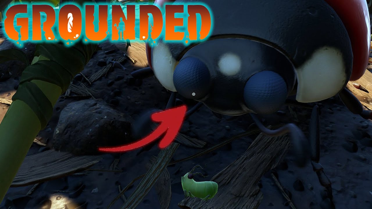 Howto Befriend A Ladybug - Grounded EP01 - YouTube