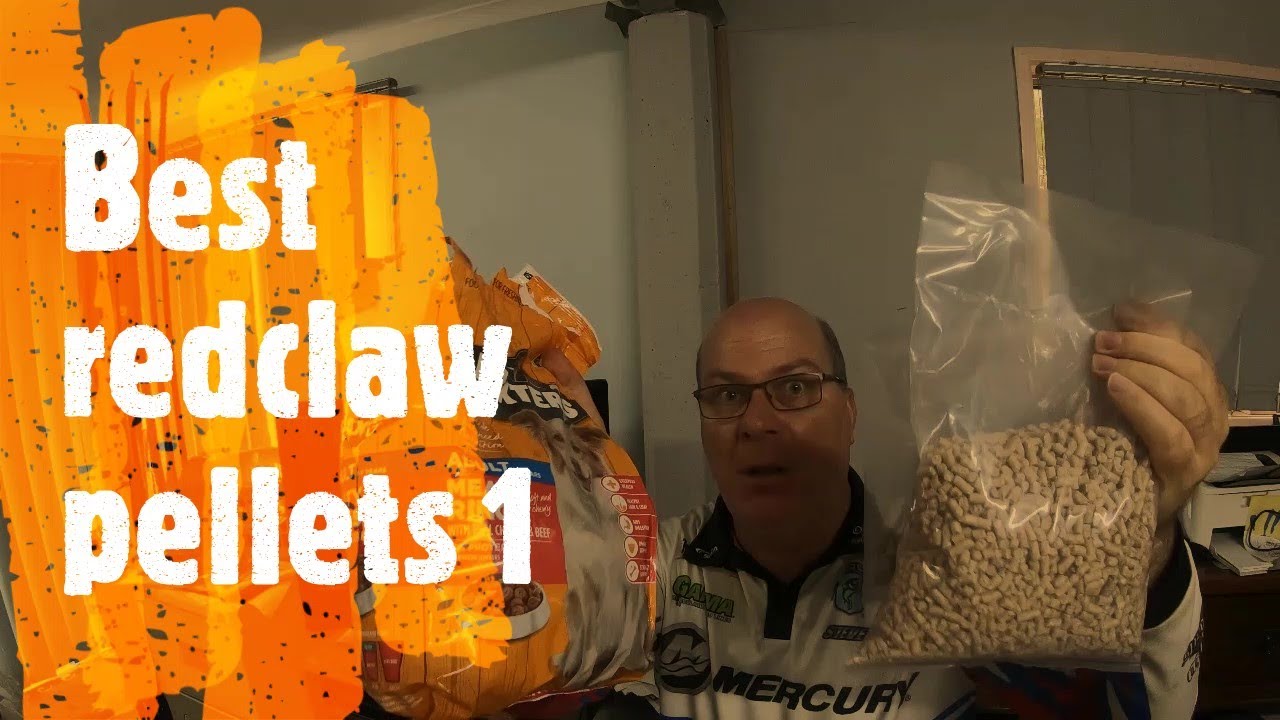 REDCLAW QUEENSLAND PELLETS1 CATCHING RED CLAW QUEENSLAND AUSTRALIAN ...