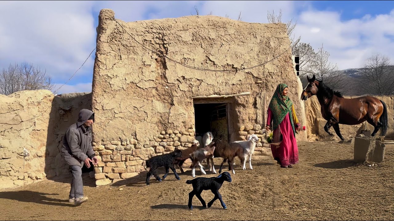 Discovering Secrets of Mountain Nomadic Life: An Elderly Shepherd’s ...