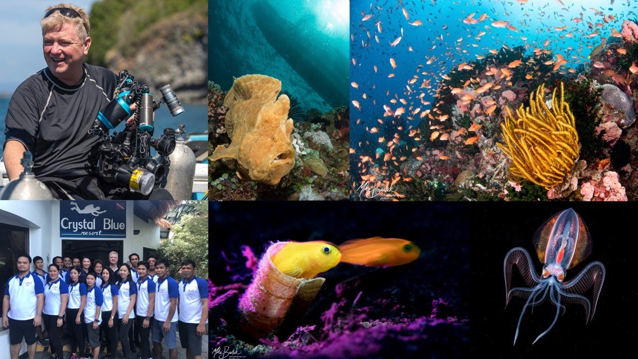 Mike Bartick | Underwater Photographer | The Underwater Tribe Live Show ...