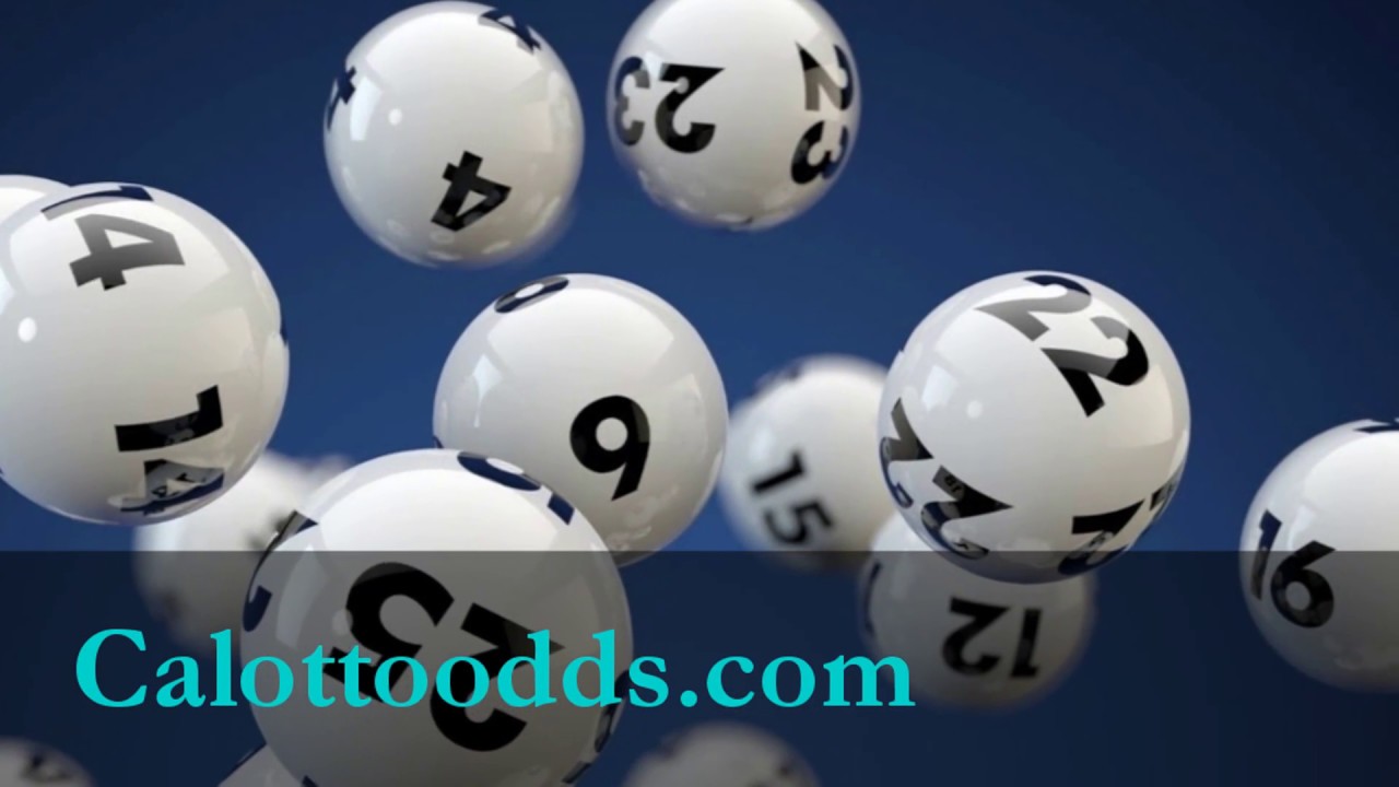Lucky Lottery numbers / Number frequency counter - YouTube