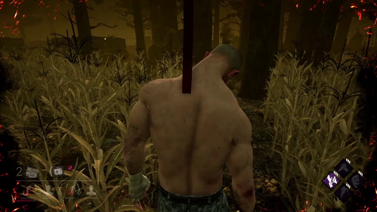 David vs Wraith - YouTube