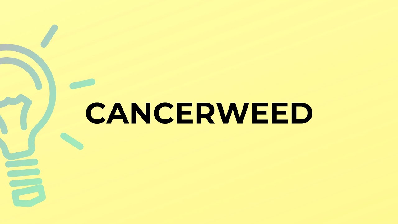 What is the meaning of the word CANCERWEED? - YouTube