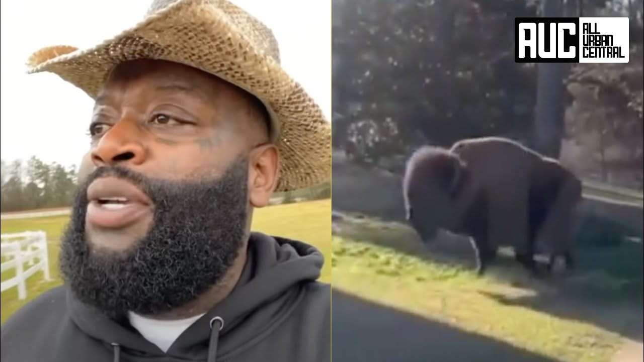 "Give It A Carrot" Rick Ross SHOCKED After His Buffalo Breaks Lose In ...