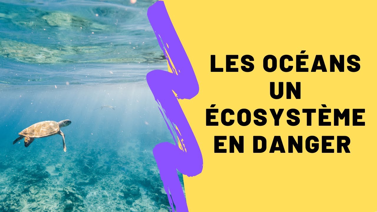 Planète Les océans, un écosystème en danger Psychologies - YouTube