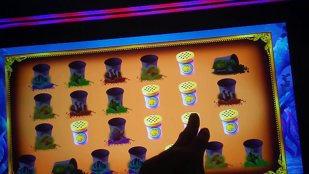 Gold Fish Game Bonus 🎰 - YouTube