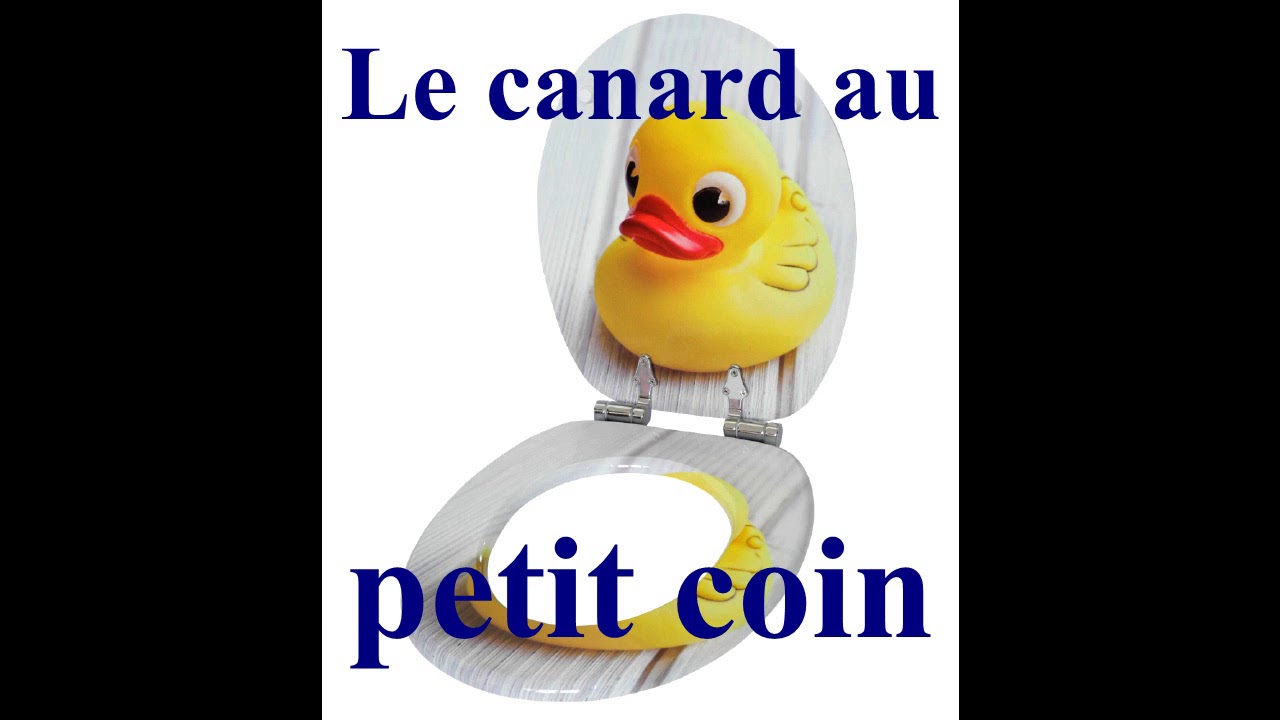 Le canard au petit coin (coin!) - YouTube