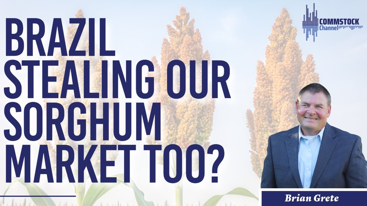 Brazil Stealing Our Sorghum Market Too? With Brian Grete - YouTube