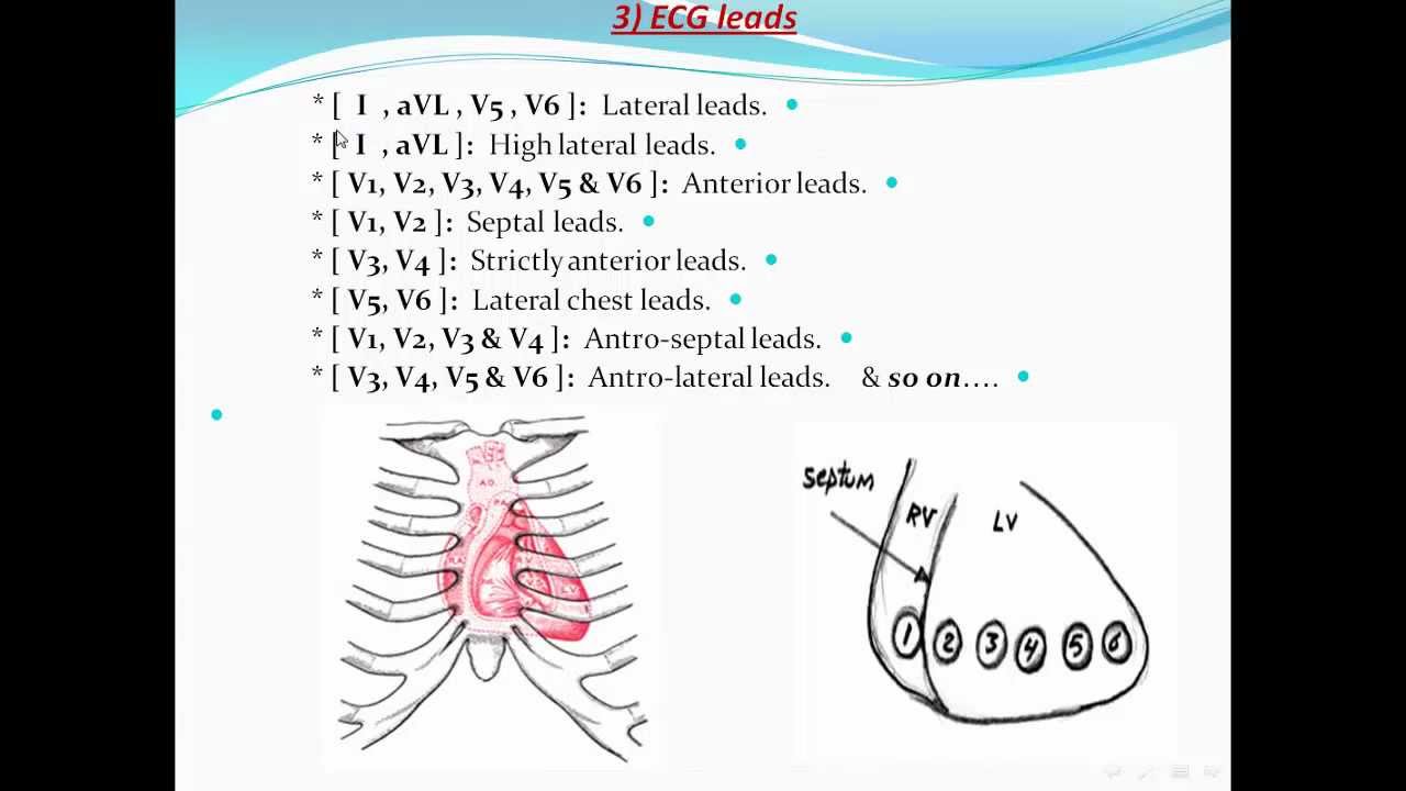 Principles of ECG "electrocardiography" Part 4 - YouTube
