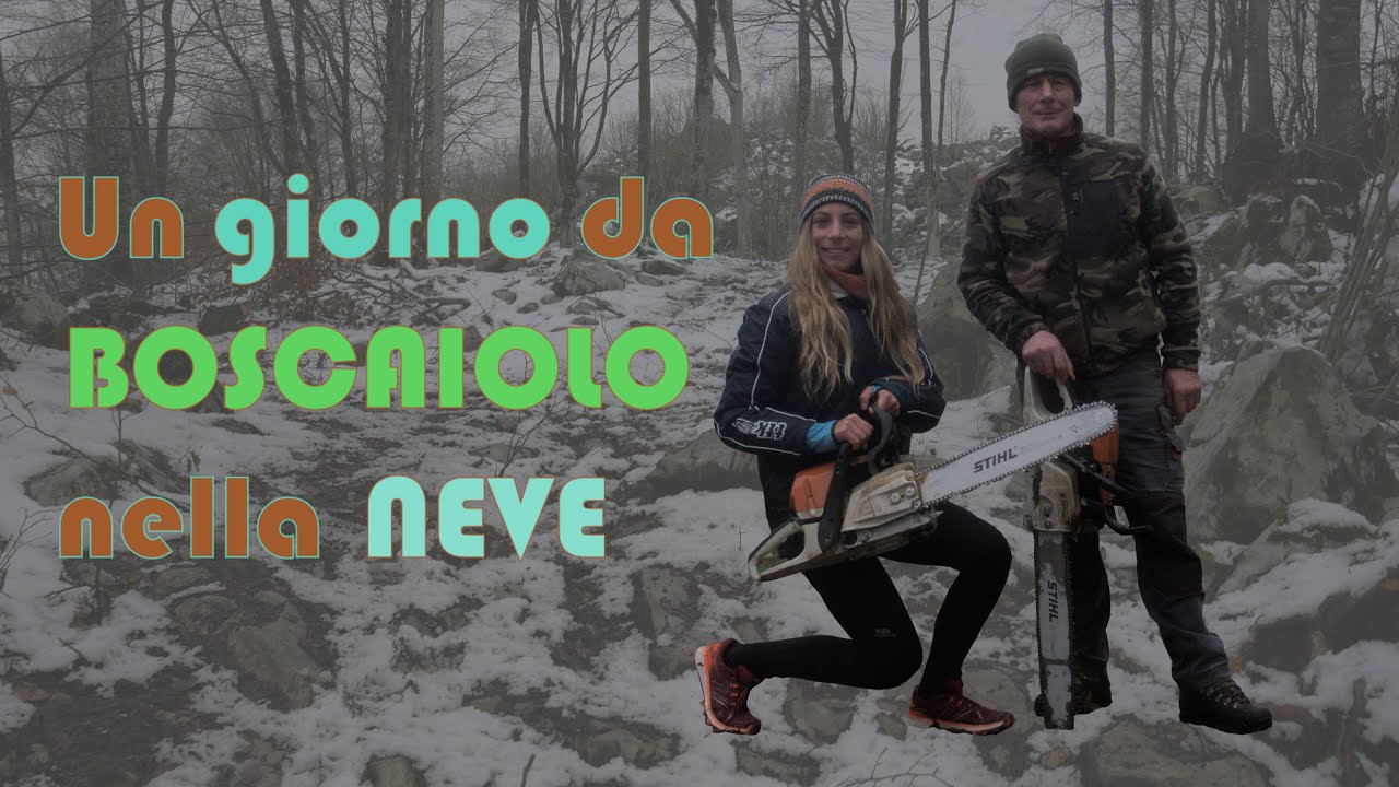 Un GIORNO da BOSCAIOLO nella NEVE - YouTube
