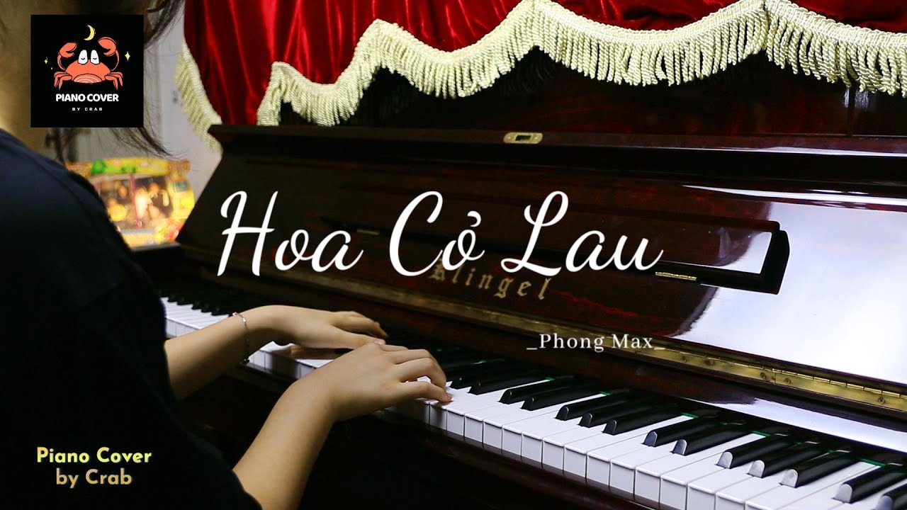 Hoa Cỏ Lau - Phong Max Piano Cover by Crab - YouTube