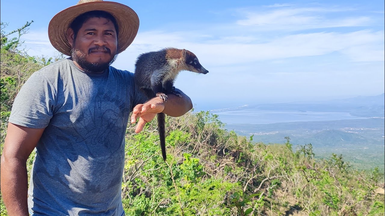 🏞️tejoncito en el parque natural mas grande de acapulco,🤠 - YouTube