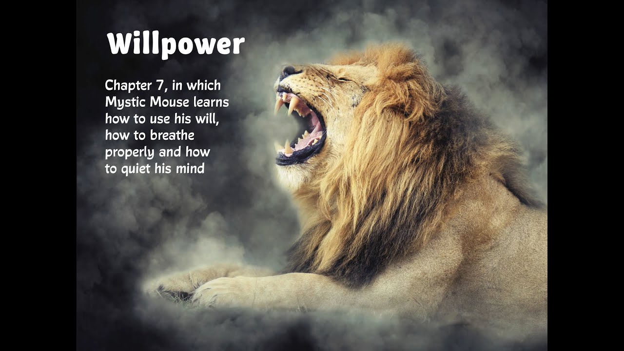 Chapter 7 - Willpower - YouTube Music