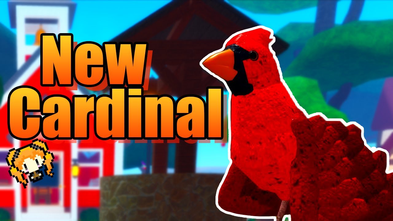 NEW Bird, Village, Update! 🐦CARDINAL 🐦Roblox Feather Family - YouTube