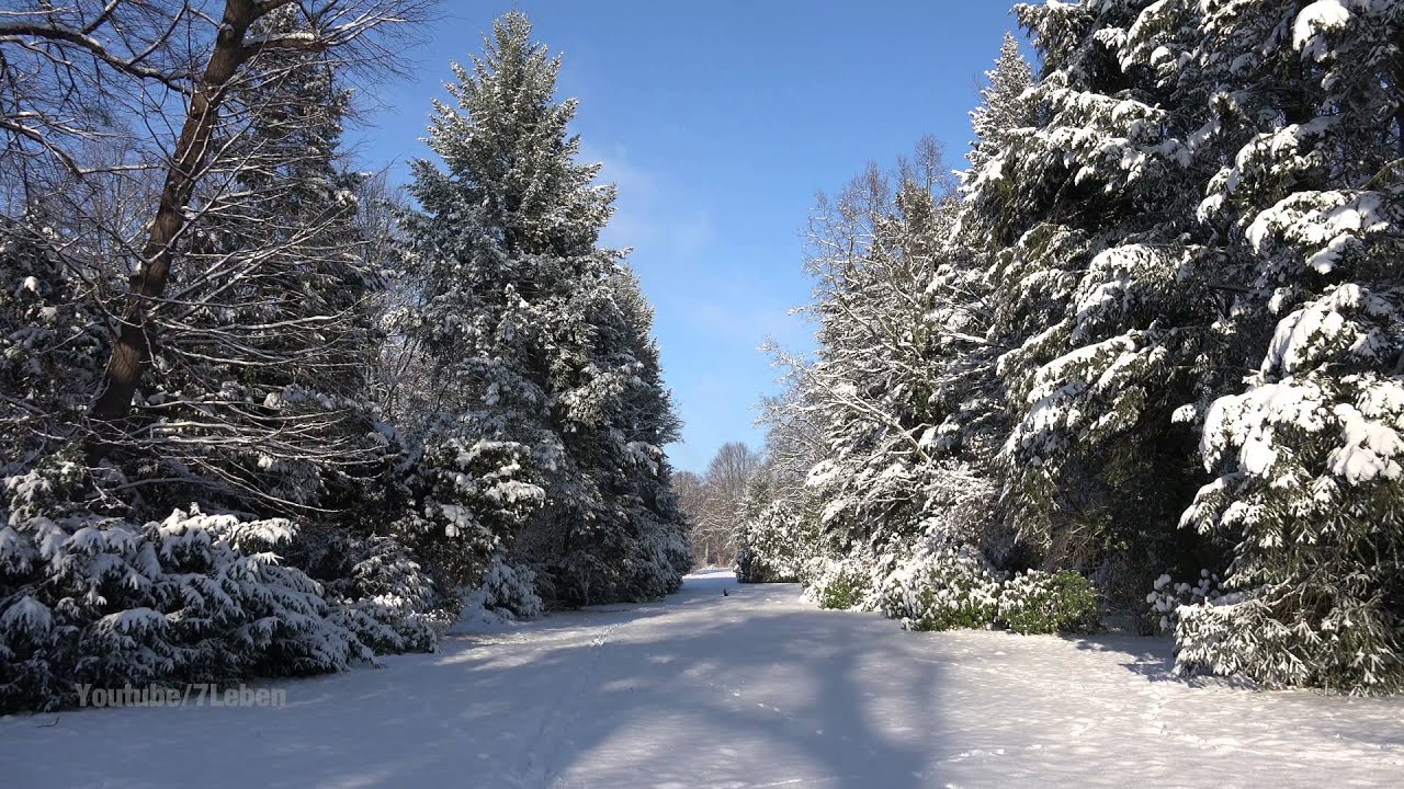 Potsdam "New Garden" /Winter Dreams\ Sony FDR-AX100 (4k/2160p) - YouTube