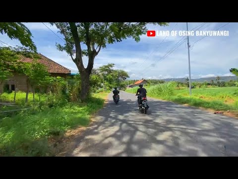 Menikmati Suasana Jalan Lingkar Barat Desa Ketapang, Kecamatan Kalipuro ...