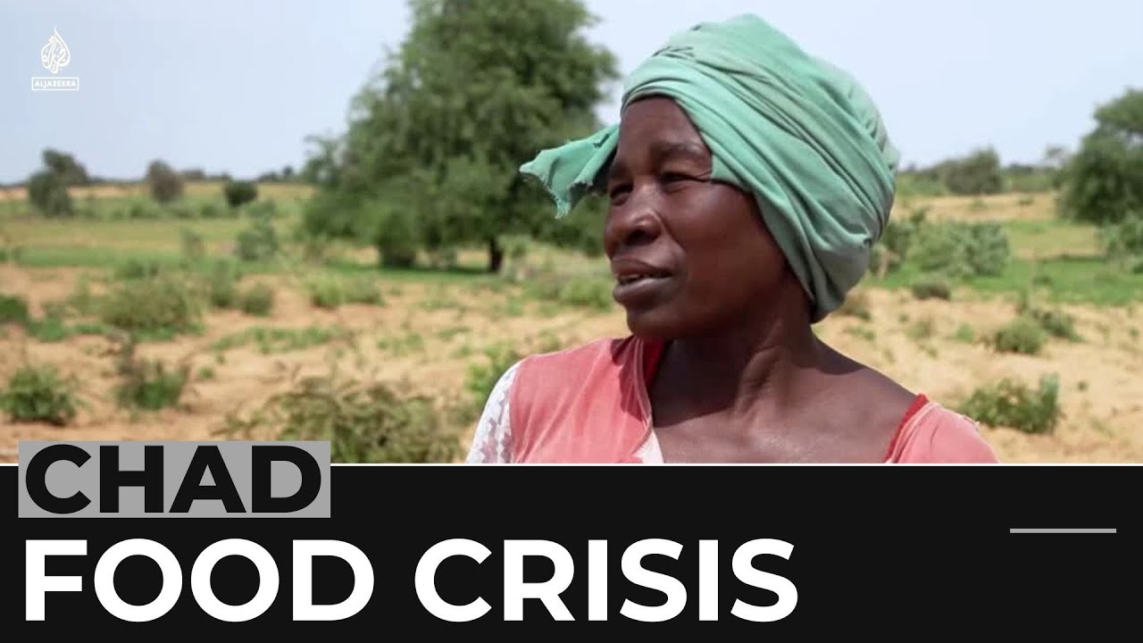 Chad hunger threat: Aid agencies struggling to feed refugees - YouTube