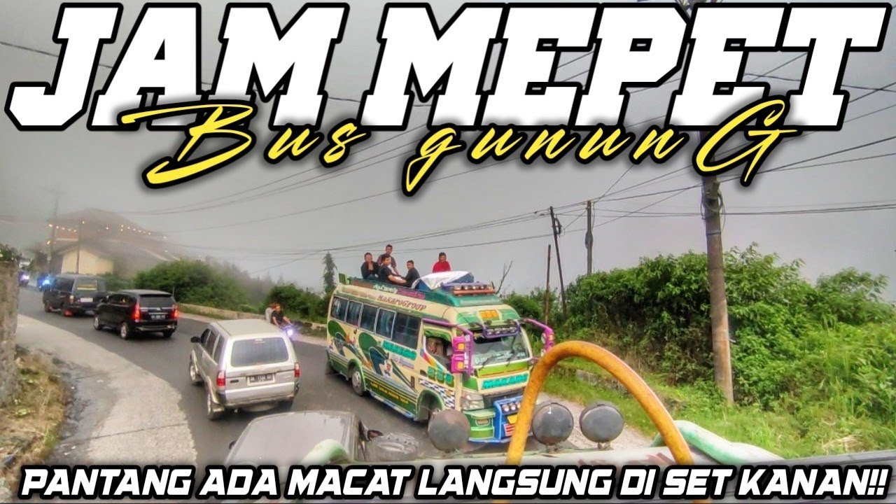 PANTANG ADA MACAT LANGSUNG DI GASS !! SENSASI TARUM BIS GUNUNG MURNI ...