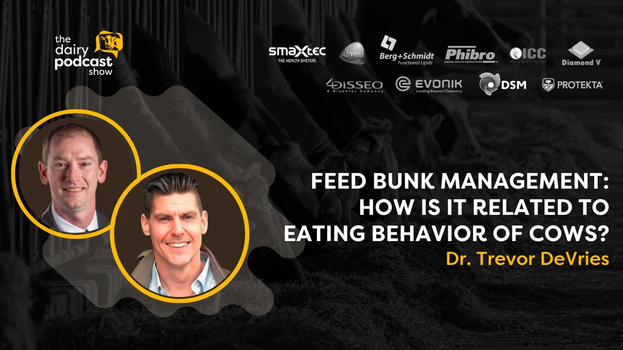 Dr. Trevor DeVries: Feed Bunk Management | Ep. 27 - YouTube